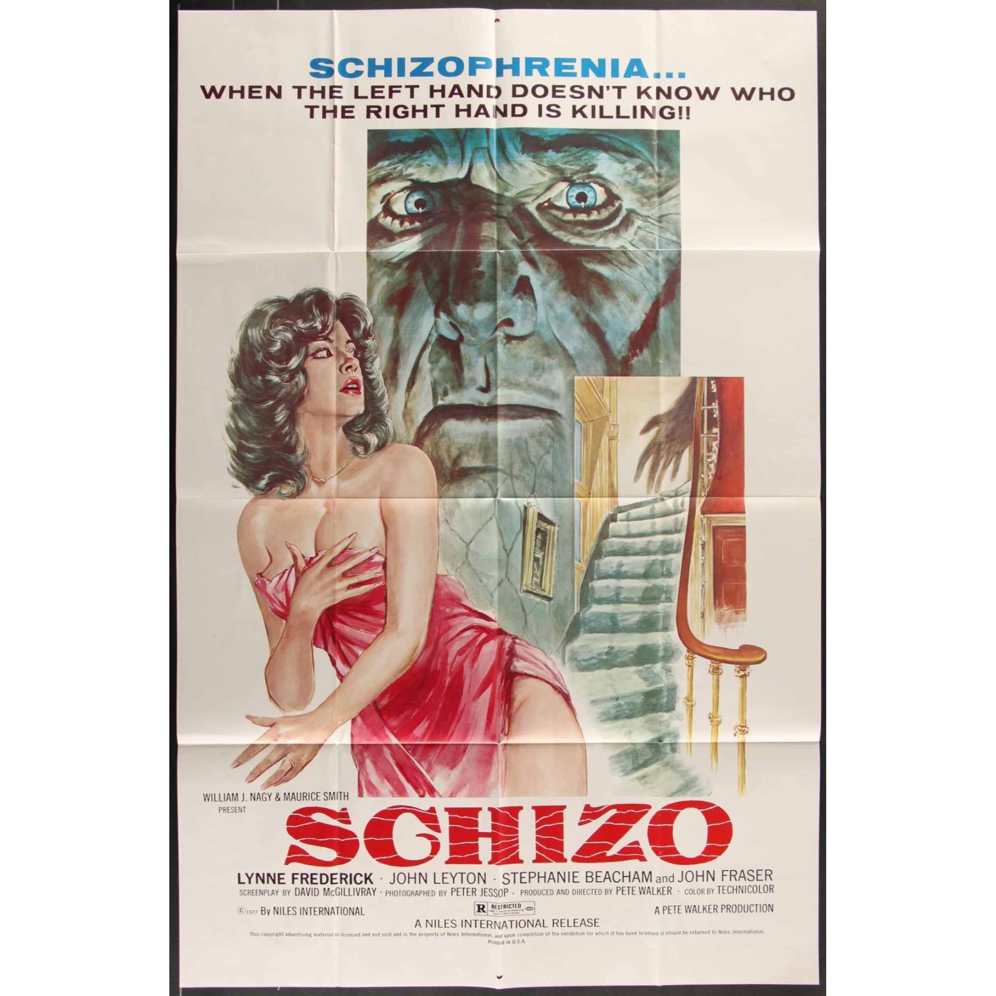 Schizo (1976) Original Movie Poster Folded 27x41 – PopCatalog